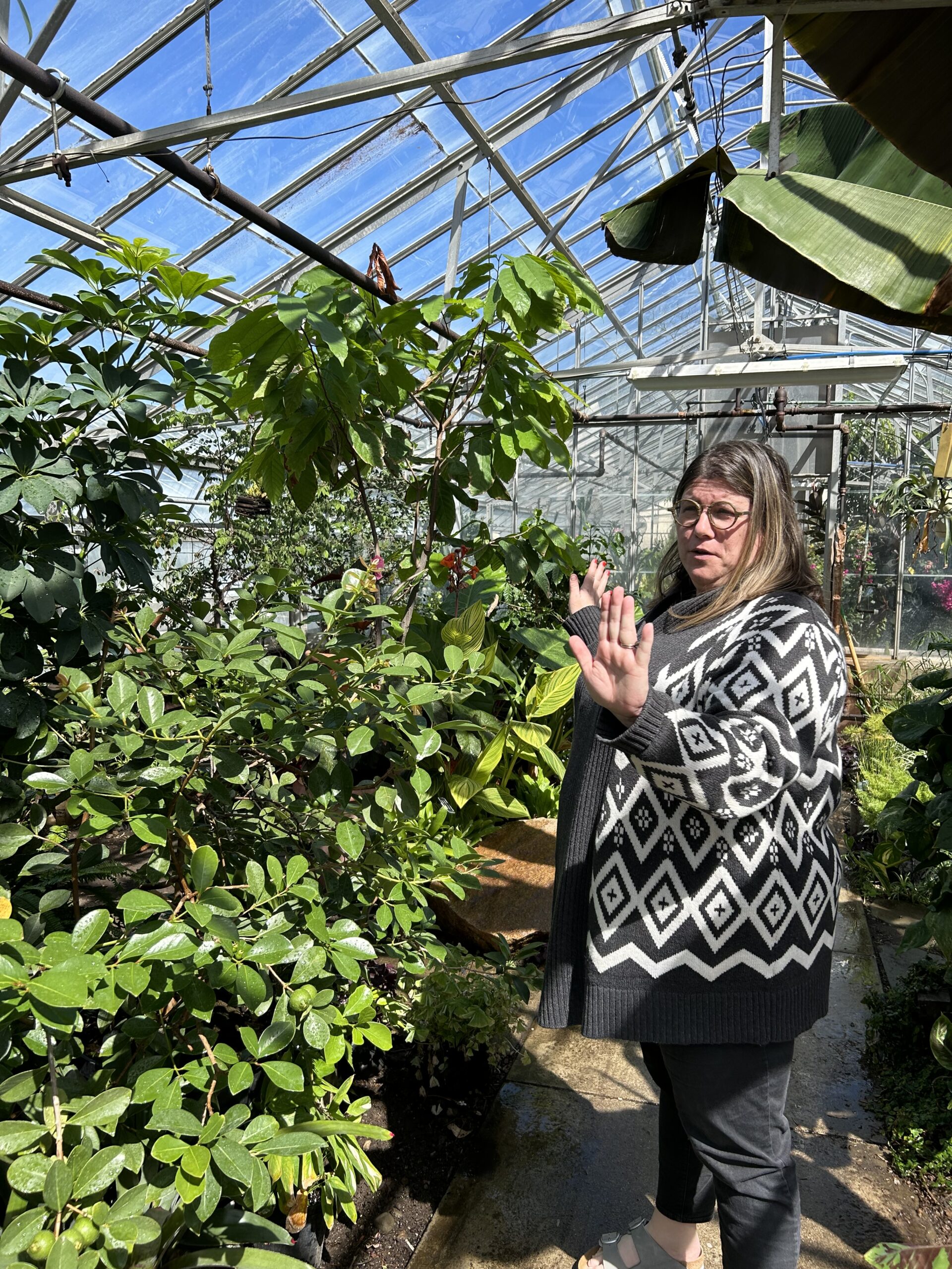 Sowing native plants is crucial to the health of the environment ...